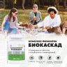 Комплекс ферментов Биокаскад (180 таблеток)