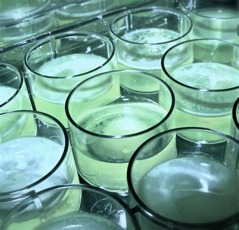 Neue Proteine Durch Gen Fusion