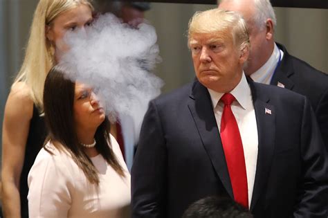 Sarah Fart Telegraph