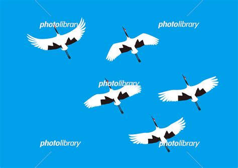 北国の丹頂鶴 イラスト素材 6199505 フォトライブラリー photolibrary