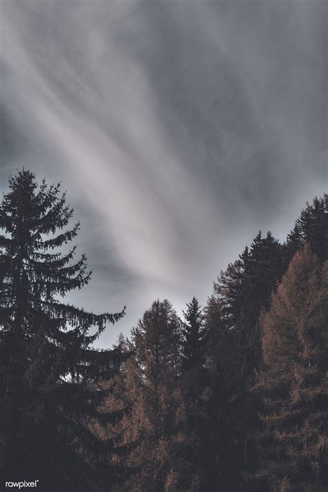 Gloomy