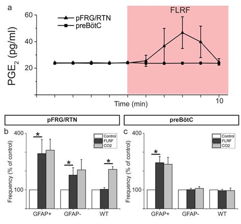 Astrocytes Release Prostaglandin E To Modify Respiratory Network Activity ELife