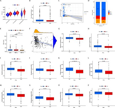 Analysis Of TME Characteristics And Drug Susceptibility A