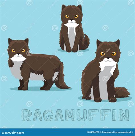 Cat Ragamuffin Cartoon Vector Illustration Stock Vector Illustration
