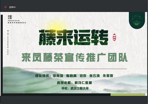 我校学子在第十二届大学生电子商务三创赛全国总决赛中斩获佳绩 武汉工程大学管理学院