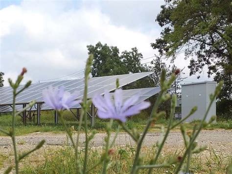 Delaware Green Building United