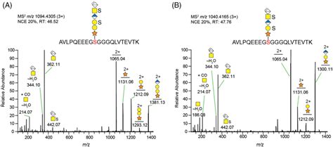 Msms Spectra Of Bikuninprotein Ambp Showing Glycan Fragmentations Of