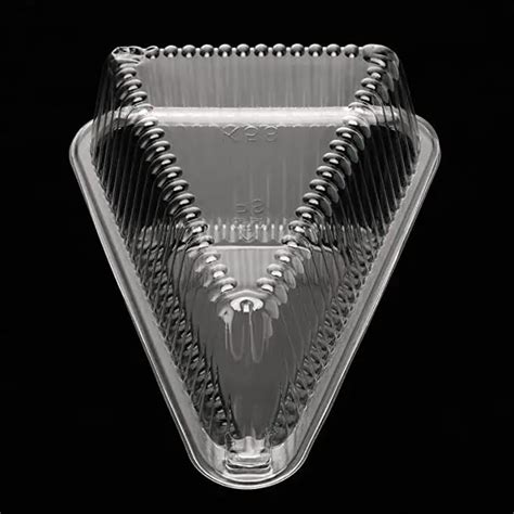 25 Cake Slice Containers