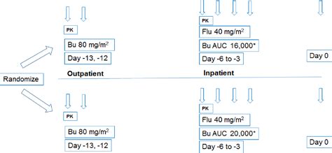 Figure 1 From Fludarabine With Myeloablative Timed Sequential Busulfan