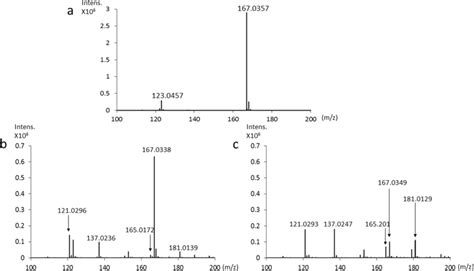Lc Tof Ms Spectra Of 800 Mg L Hga A Ms Spectrum Of 800 Mg L Hga B Download Scientific