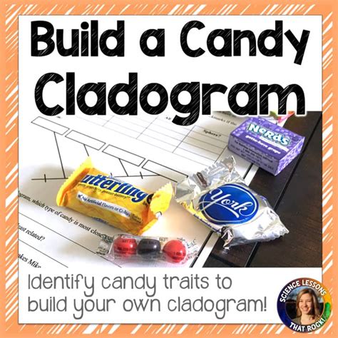 Candy Cladogram Activity Build Your Own Phylogenetic Tree Using Candy