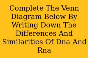 Complete The Venn Diagram Below By Writing Down The Differences And