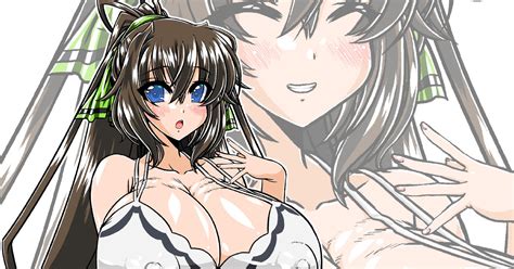 インフィニット・ストラトス 水着箒 慣太郎のイラスト Pixiv
