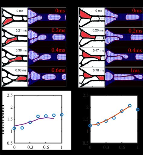 Droplets Deformation And Breakup In The Narrow Constriction At Ca
