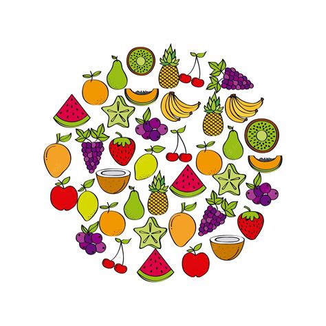 Premium Vector Fruits In Circle Shape