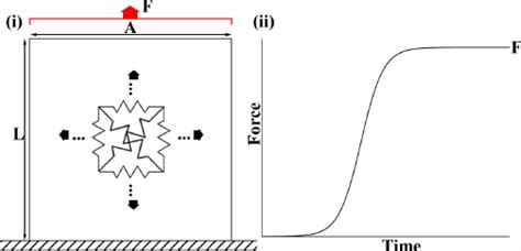 the extension experiment used to test the effectiveness of the locally