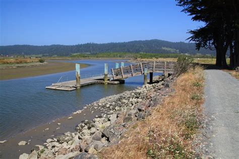 Humboldt Bay National Wildlife Refuge Loleta Ca California Beaches