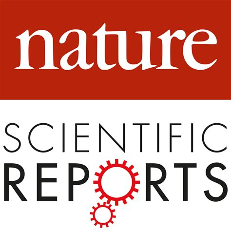 에세이리뷰 논문교정 논문번역 영문교정 영문번역