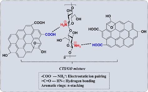 Shows That In The Cts Go Spectrum The Cooh Groups Of Go Interacted