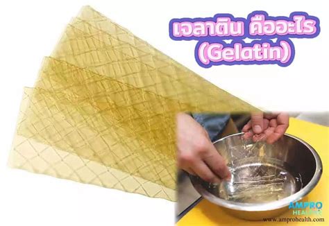 เจลาติน คืออะไร Am Pro Health