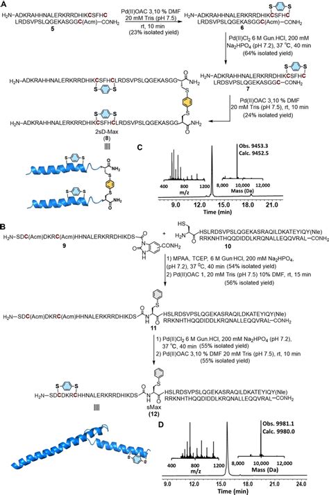 Effective Palladium Ii ‐mediated Synthesis Of Complex Modified Download Scientific Diagram