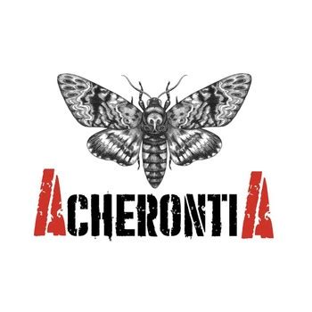 Acherontia、「acherontia」を配信開始｜the Magazine