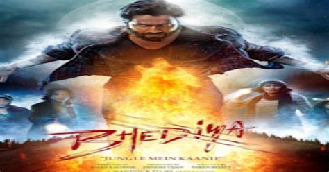 Top 10 Horror Movies To Watch Before Bhediya