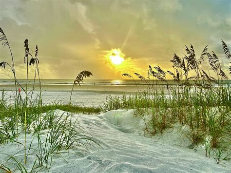 Sunlit Dunes Photograph By Laurie Snow Hein Pixels