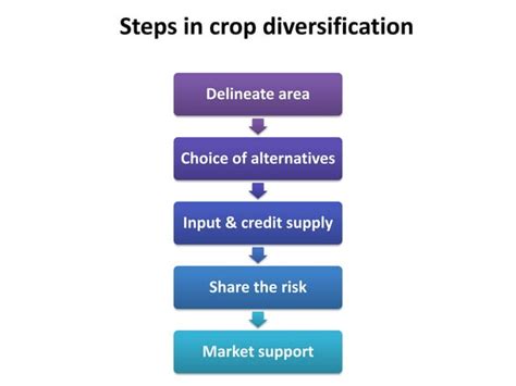 Crop Diversification Pdf Agriculture Industries