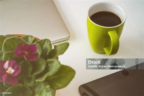 흰색 배경에 노트북과 태블릿 플랫 평신도 구성 홈 오피스 0명에 대한 스톡 사진 및 기타 이미지 0명 개념 공란 Istock