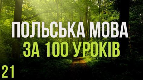 Польська мова за 100 уроків Польські слова та фрази Польська з нуля