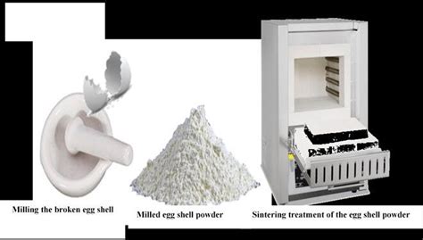 Schematic Illustration Of The Preparation Of A Egg Shell Powder