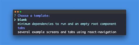 Démarrer Sur React Native Avec Expo Typescript Et Eslint Thibault