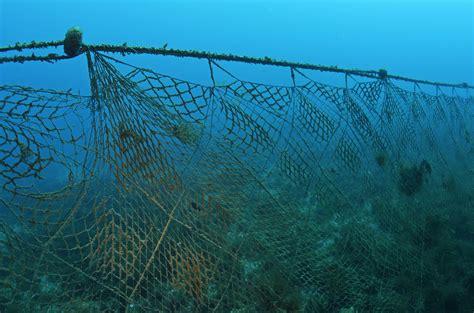 New Biodegradable Nets Could Contribute To Solving Ghost Fishing Lifegate