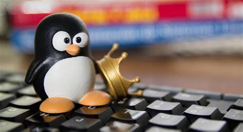 Mastering Linux Skills For A DevOps Career