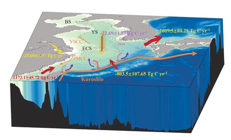 科研进展 STOTEN基于物理 生物地球化学耦合模型的东海海 气CO2通量和跨陆架无机碳交换研究