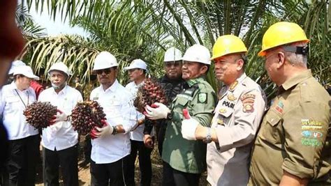 Akselerasi Peremajaan Sawit Di OKI Gubernur Sumsel Dan Mentan Syahrul