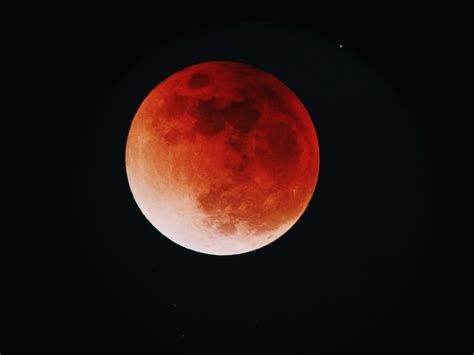 Lunar Eclipse November 2021 All About The Beaver Moon Tatler Asia