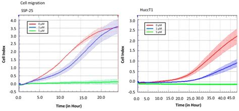 Heteronemin Induces Anti Proliferation In Cholangiocarcinoma Cells Via