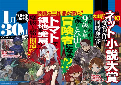 【マイクロマガジン社】第10回ネット小説大賞受賞作の中吊り広告を掲出 サイン＆ディスプレイ業界の専門メディア Sign News Site