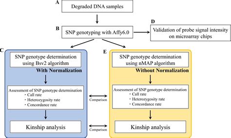 development of a novel microarray data analysis tool without