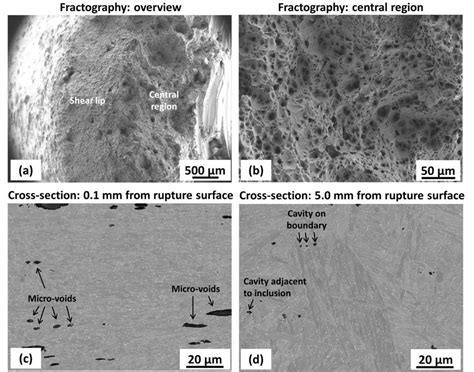 Se Micrographs Showing A And B The Topography Of The Rupture Surface Download Scientific