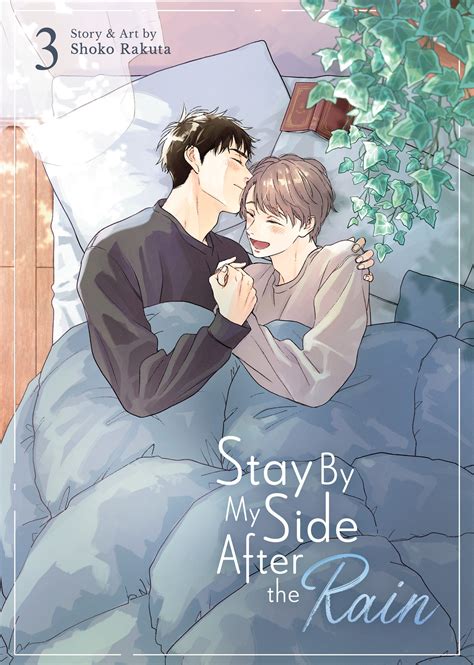 Stay By My Side After The Rain Vol 3 By Shoko Rakuta Penguin Books