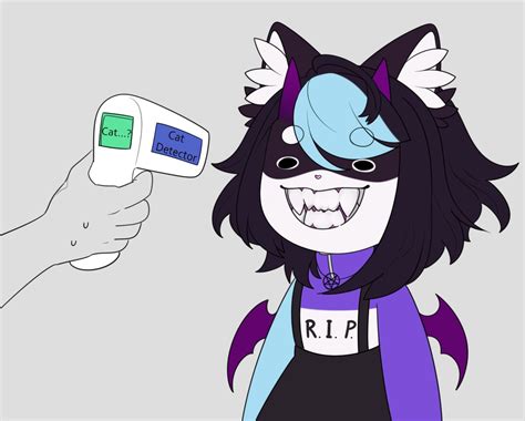 grave 🖤 hiatus on twitter cat detector