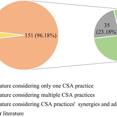 Measurement Of Csa Practice In The Reviewed Literature Download
