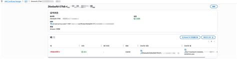 Cloudfront 部署小指南（二十）：介绍 Cloudfront Saas Manager 亚马逊aws官方博客