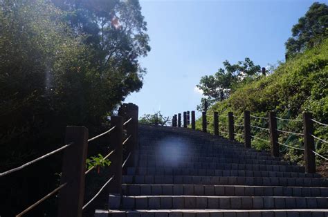 苗栗頭屋墨硯山北峰墨硯山南峰連走O繞健走 健行筆記