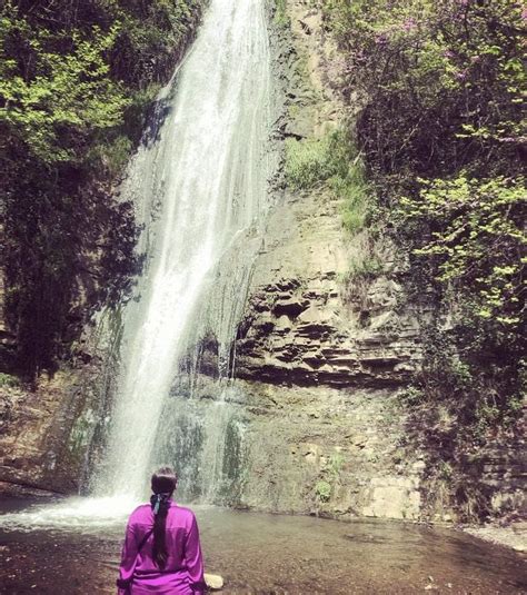 თბილისის ბოტანიკური ბაღი