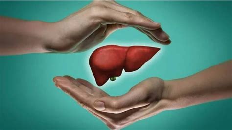 Fatty Liver Tips काहीही खाल्यानंतर तुम्हाला शौचास होत असेल तर तुम्ही