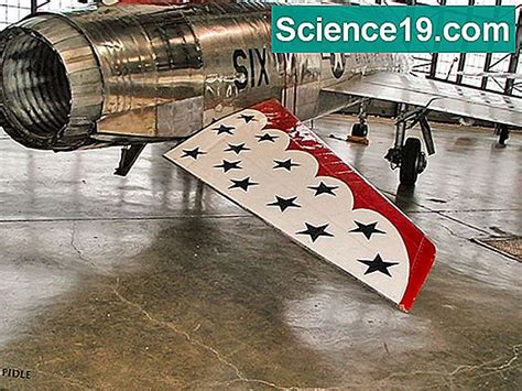 Różnica Między żywicą Drzewną A żywicą Drzewną 💫 Naukowe I Popularne